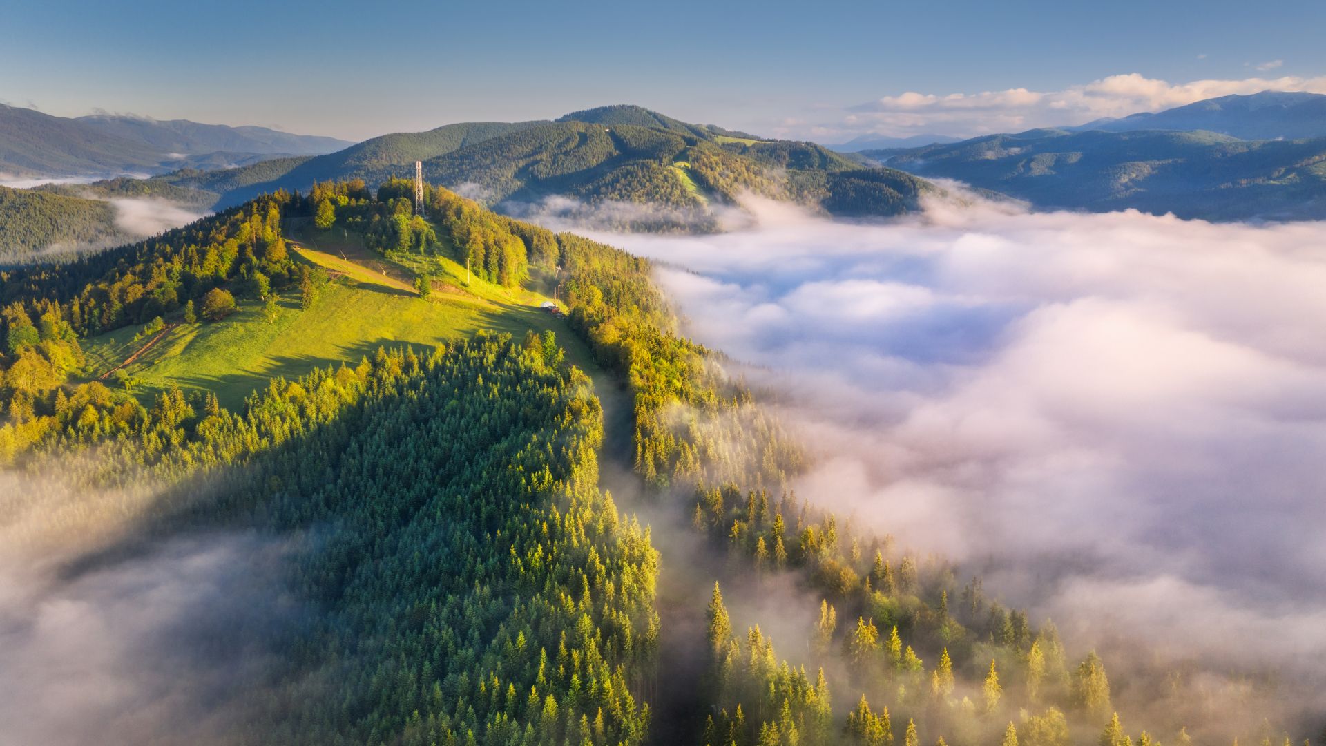 About us - Reverse Logistics Group